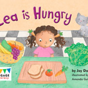 Engage Literacy Red Level 3 Pack (11 titles) - Lioncrest Education