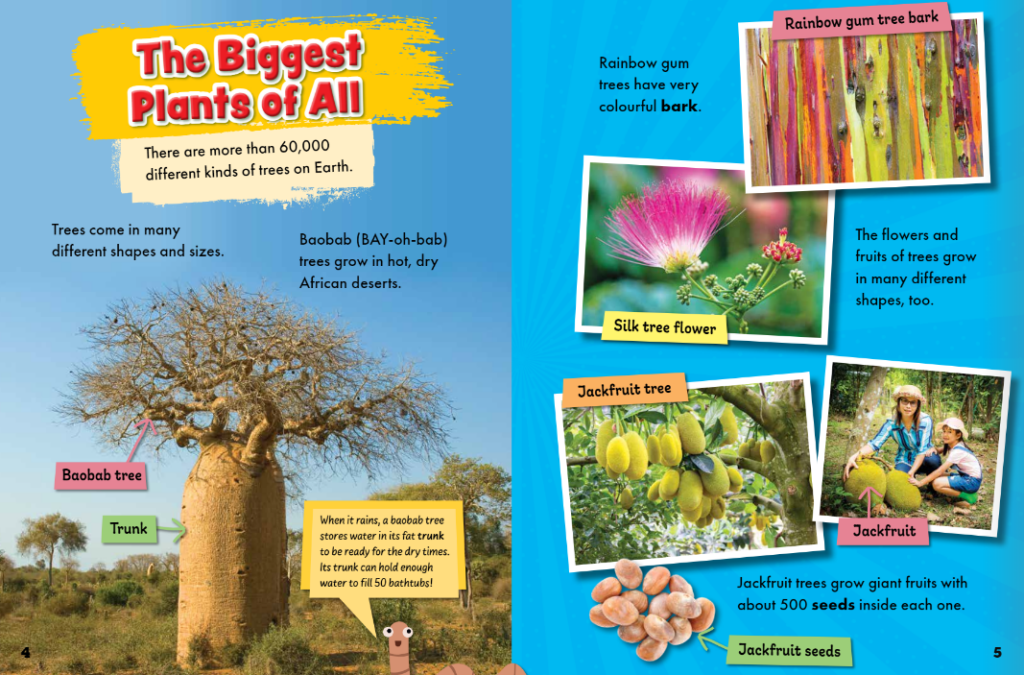 FUNdamental Science Set (16 titles) - Lioncrest Education