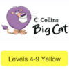 Collins Big Cat - Lioncrest Education