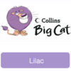 Collins Big Cat - Lioncrest Education
