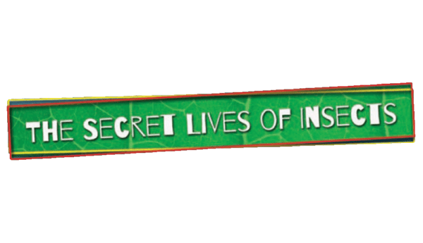 The Secret Lives of Insects - Lioncrest Education