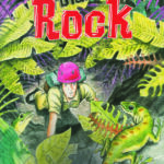 Springboard into Comprehension Set 4 (24 titles) - Lioncrest Education