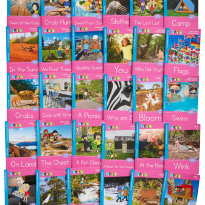PLD Decodable Reading Set 1 (15 titles CVC s,a,t,p,i,n) - Lioncrest ...